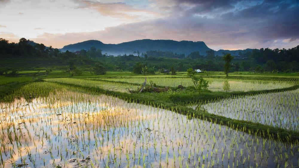 Sidemen Complete Travel Guide 2025 | Polarsteps Guides