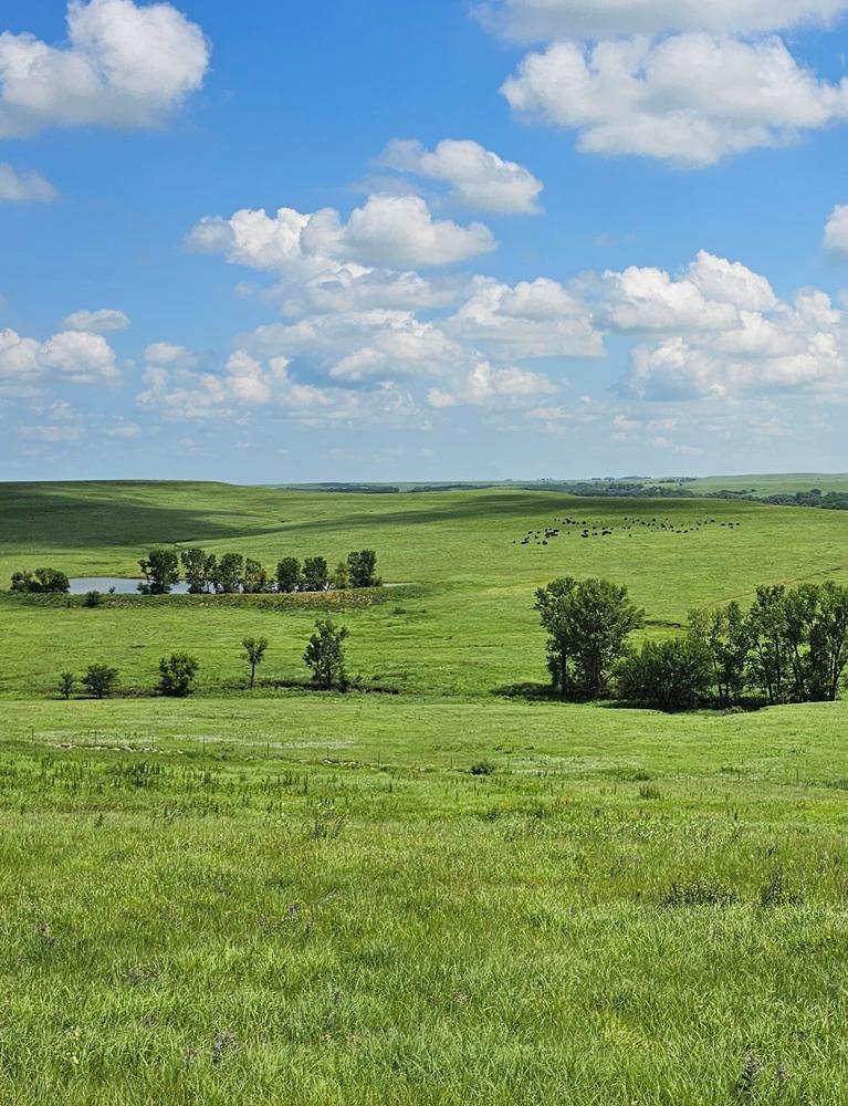 Tallgrass Prairie National Preserve Camping Tallgrass Prairie National