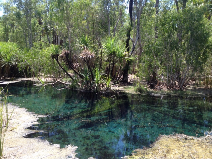 Mataranka Thermal Pool and Rainbow Springs, Australië - Polarsteps
