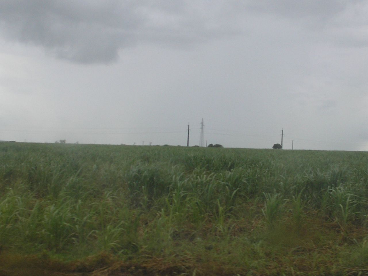 Perico, Cuba - Polarsteps