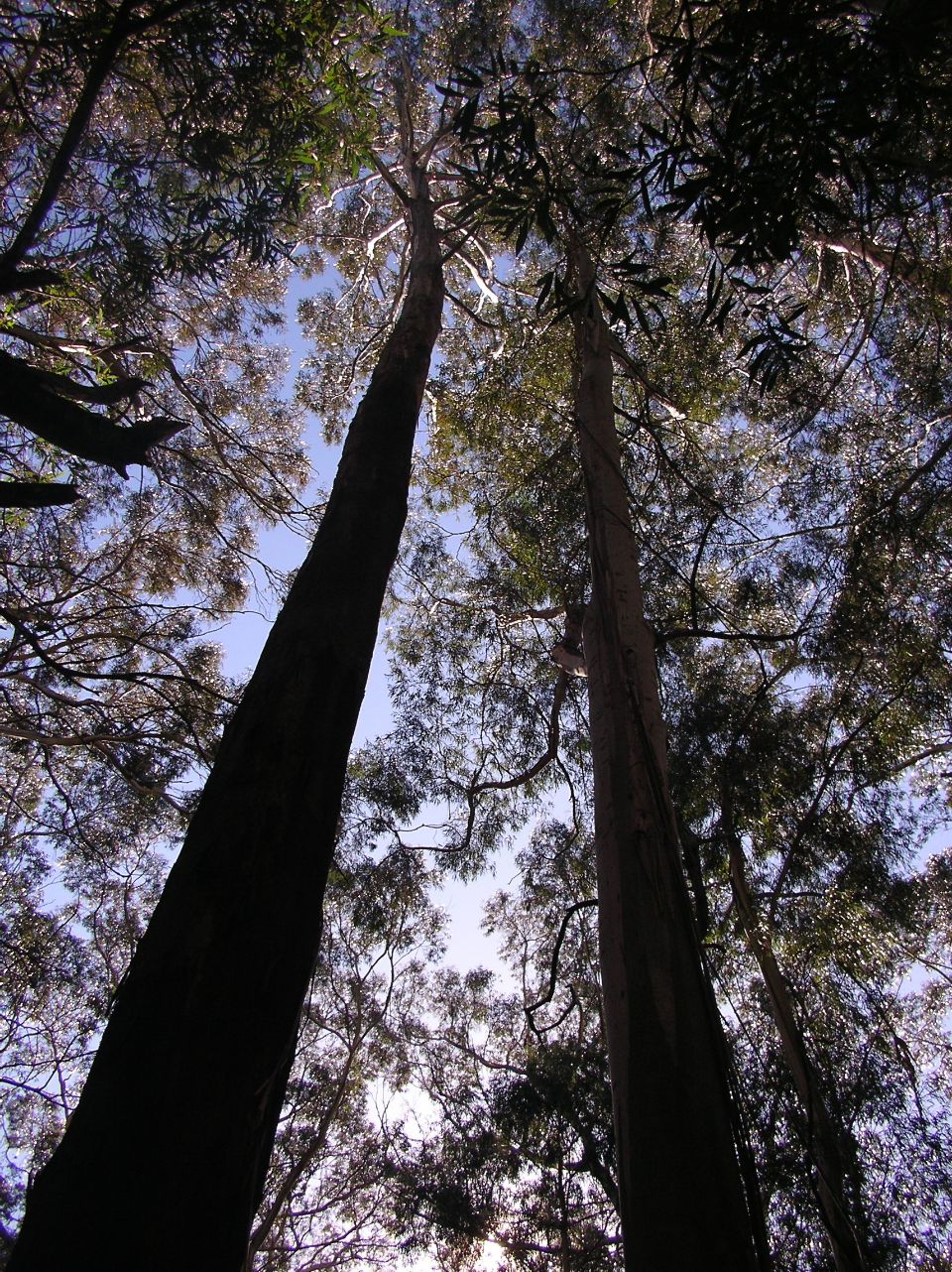 Fred Piper Memorial Lookout, Australia - Polarsteps