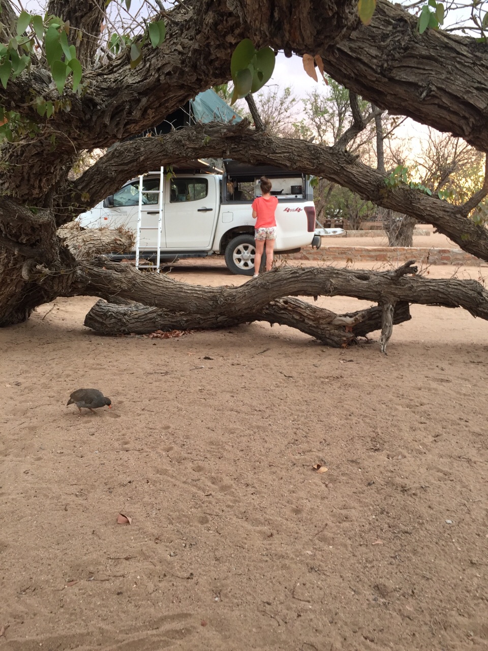 Khorixas, Namibia - Polarsteps