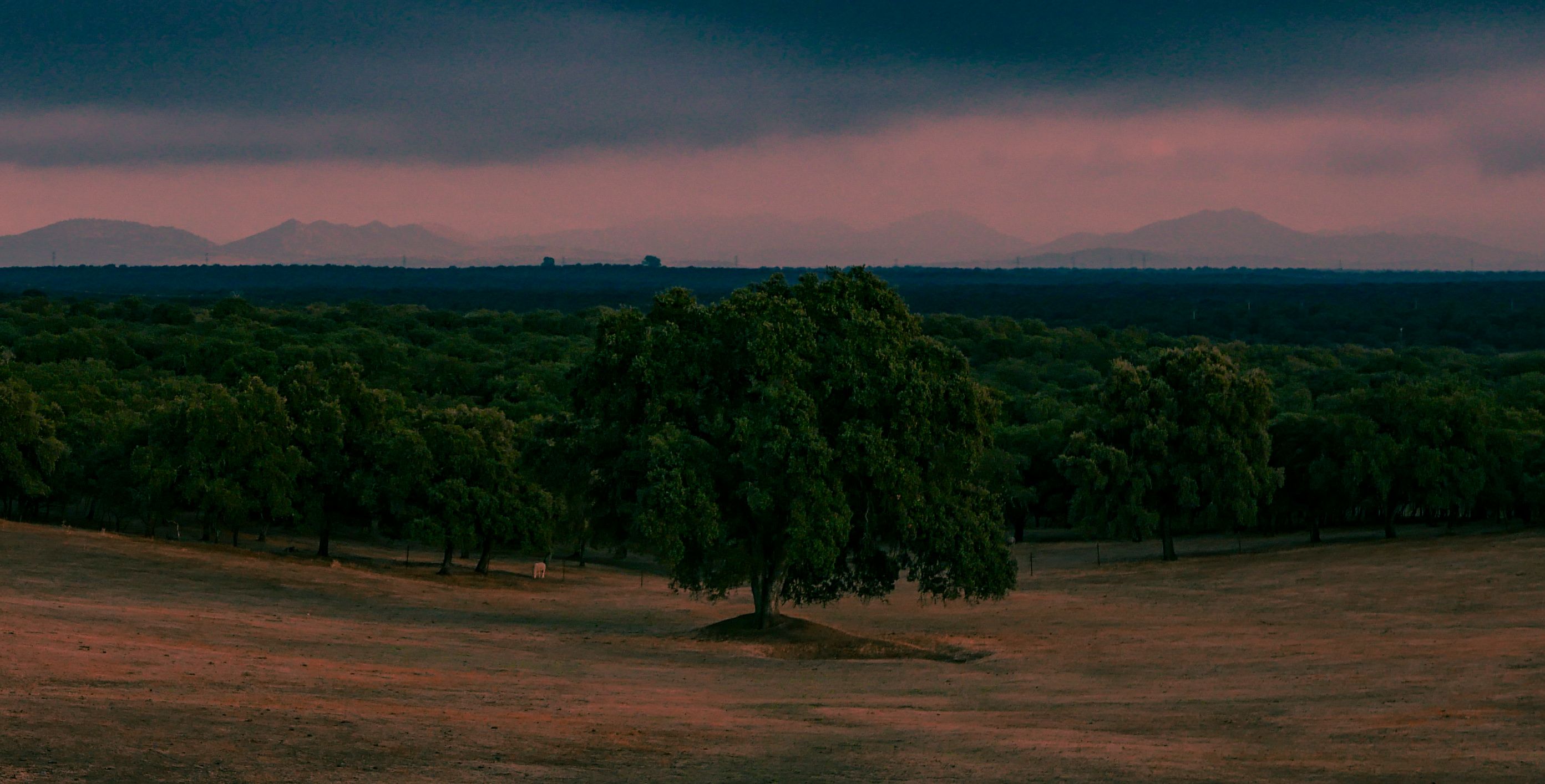 Toril, Spain - Polarsteps
