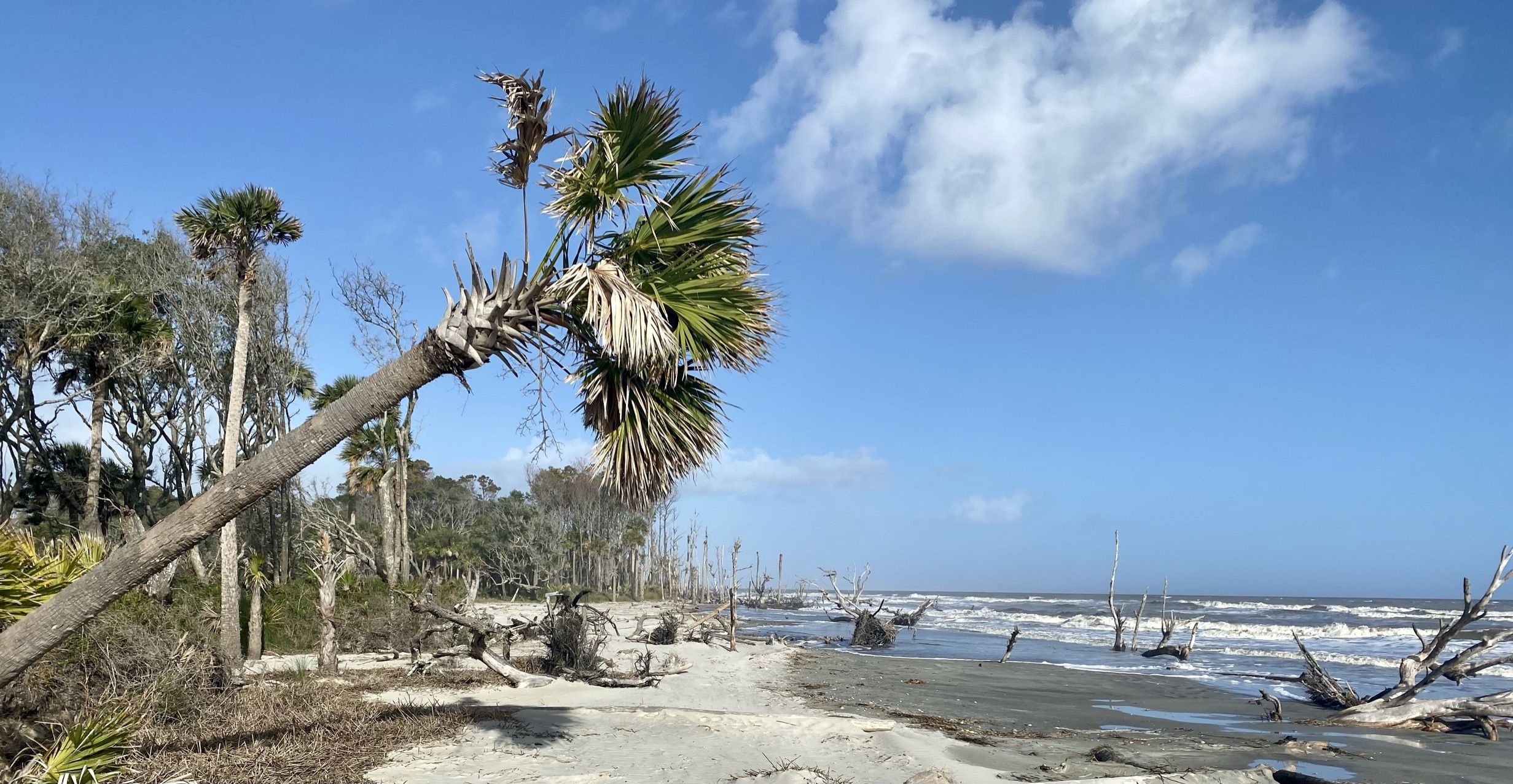 Charleston County, United States of America - Polarsteps