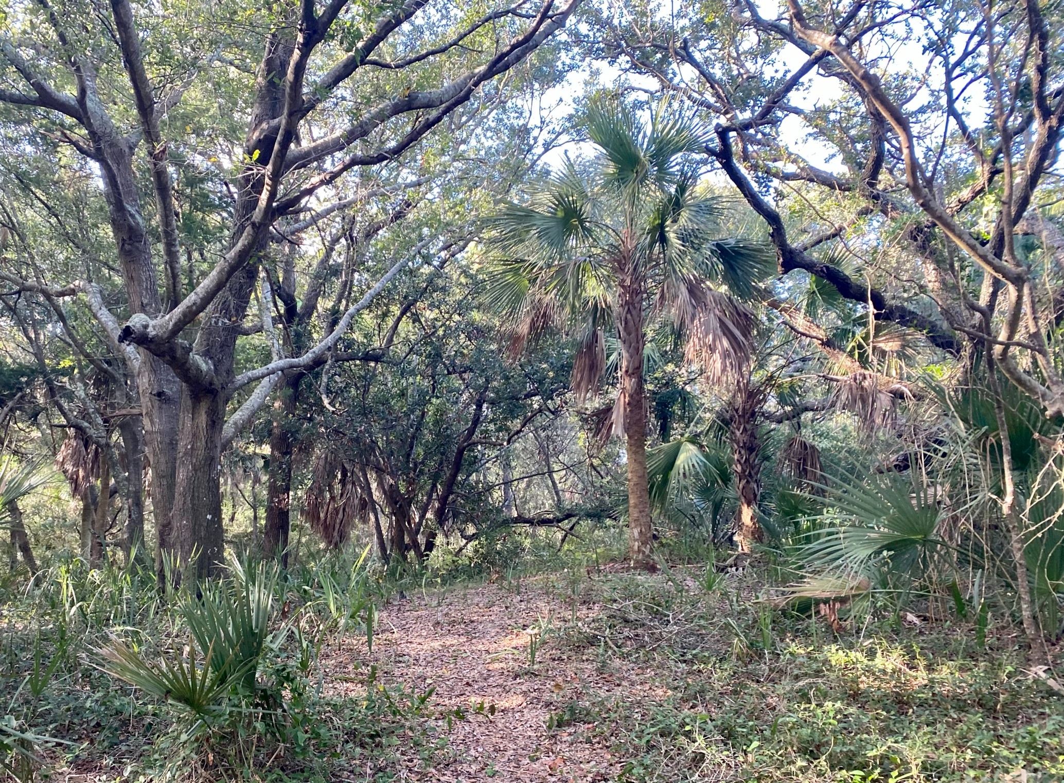 Charleston County, United States of America - Polarsteps