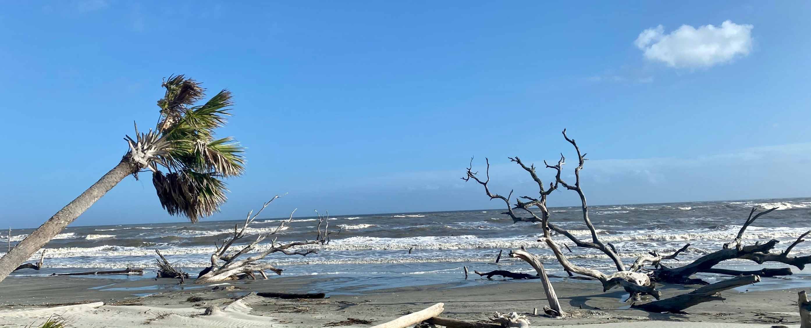 Charleston County, United States of America - Polarsteps