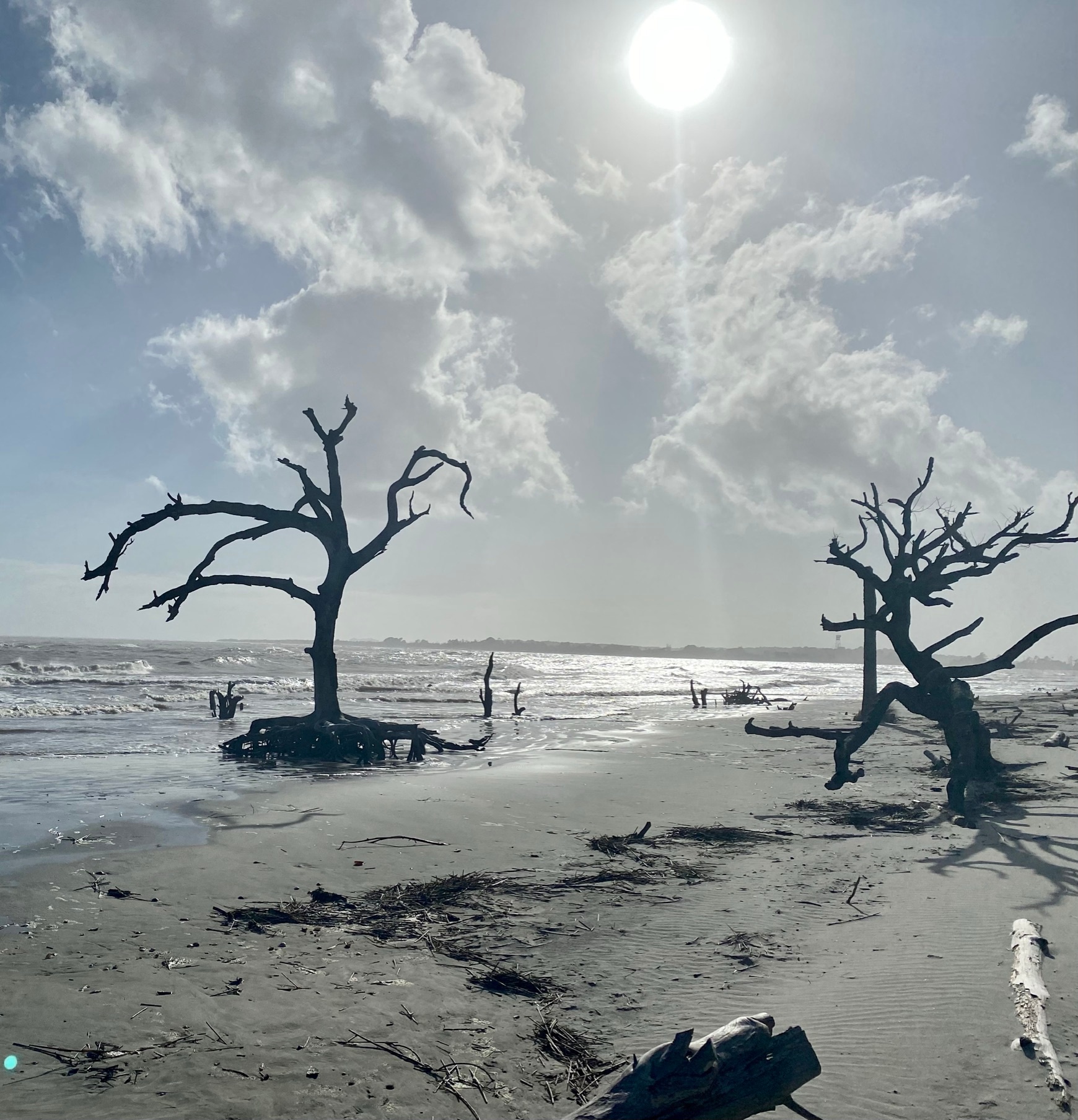 Charleston County, United States of America - Polarsteps