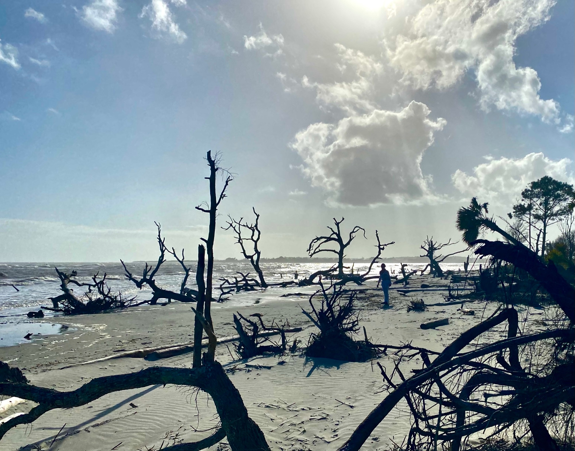 Charleston County, United States of America - Polarsteps