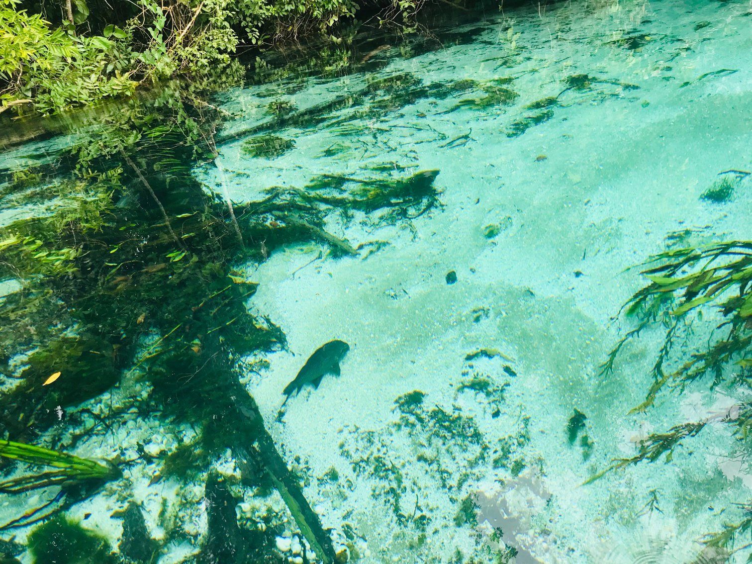 Bonito, Brazil - Polarsteps