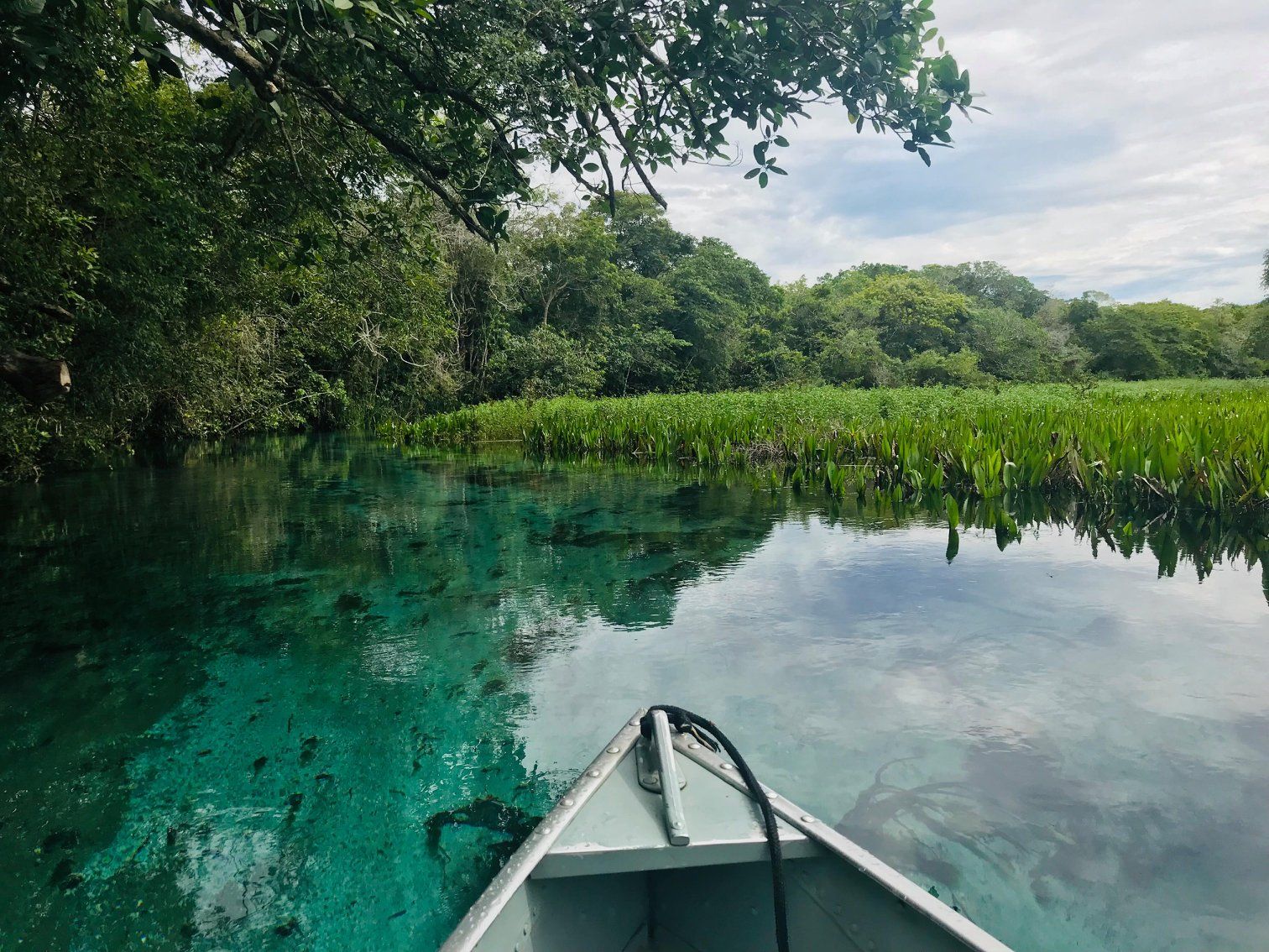 Bonito, Brazil - Polarsteps