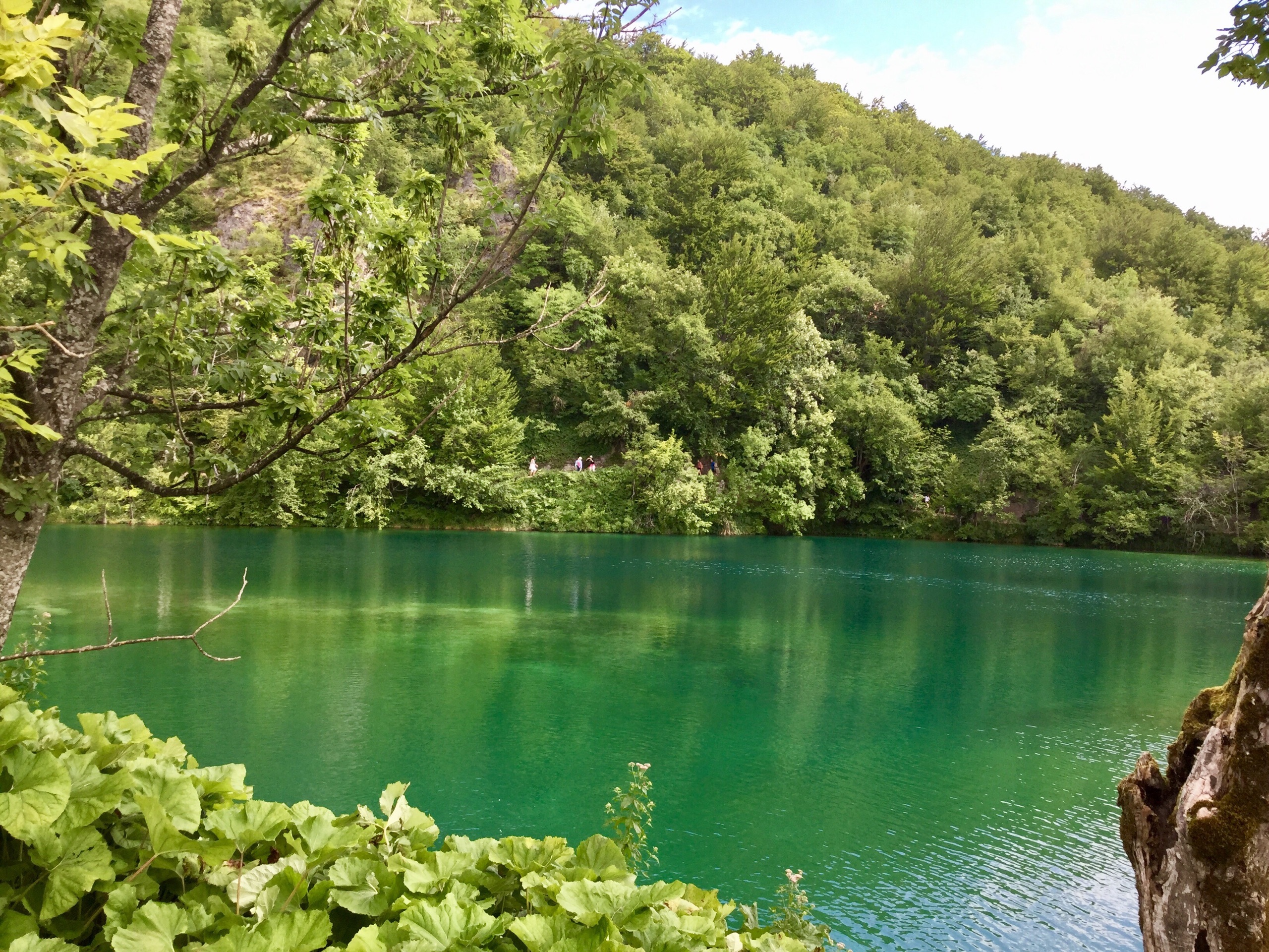 Korenica, Croatia - Polarsteps