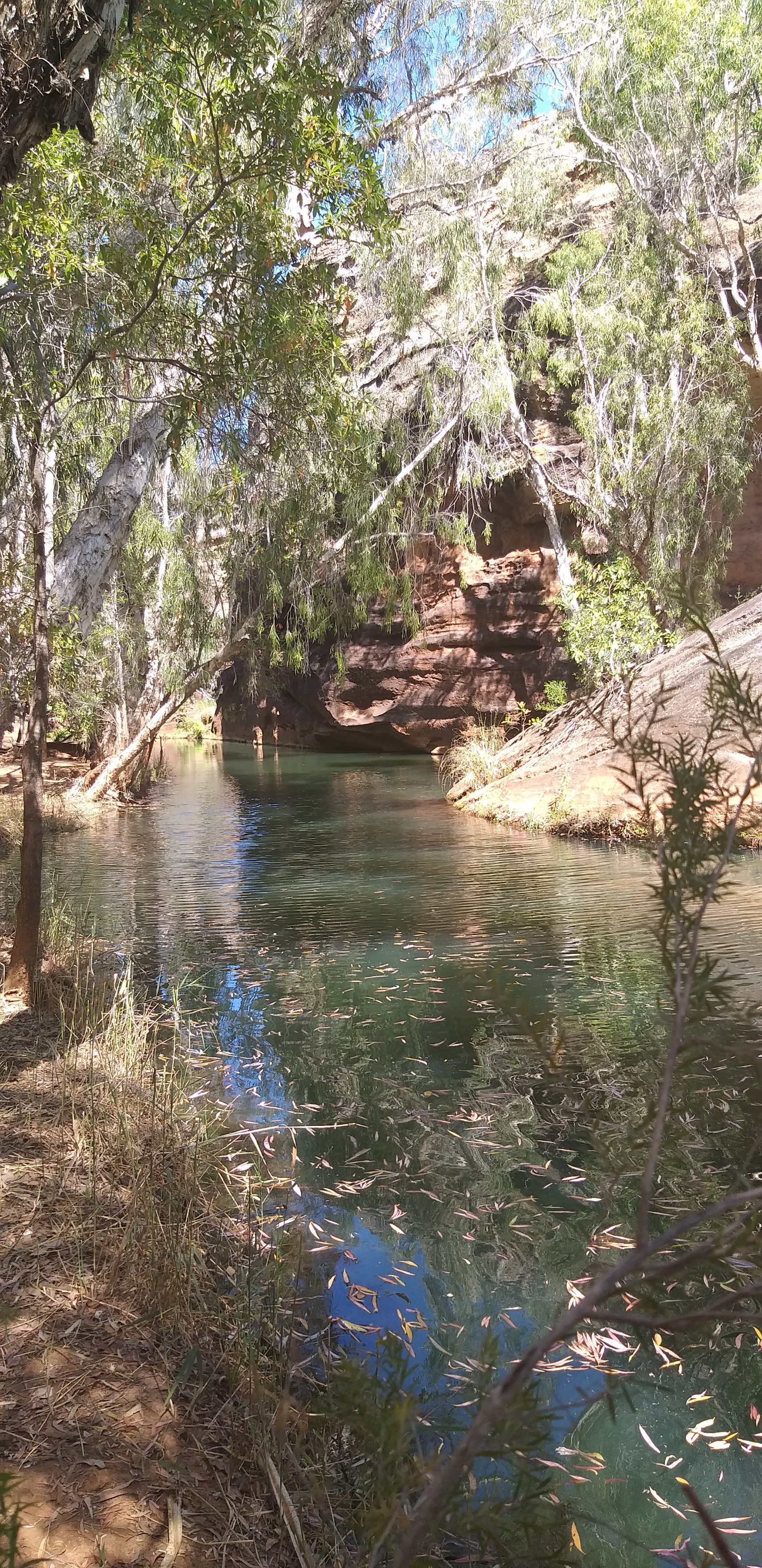 Forsayth, Australia - Polarsteps