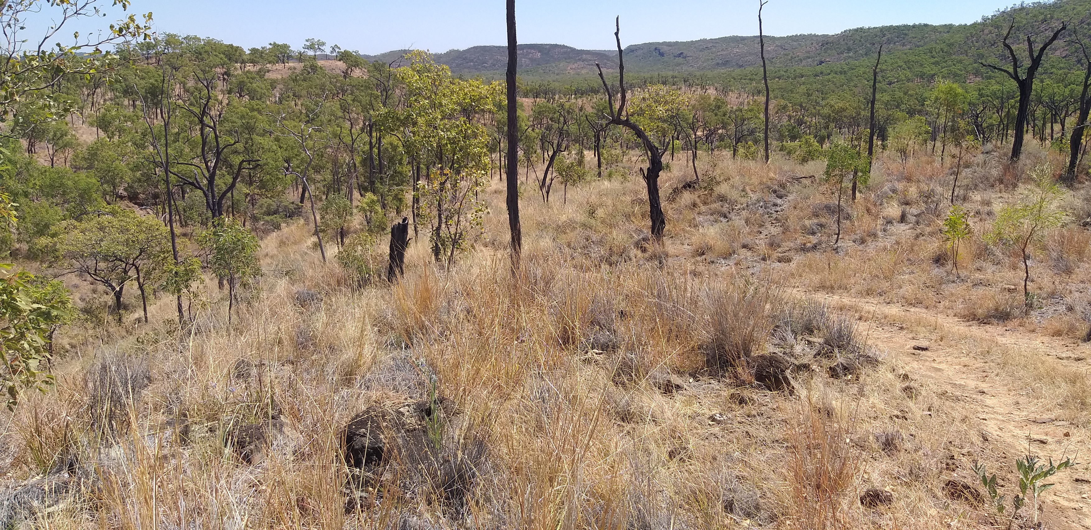 Forsayth, Australia - Polarsteps