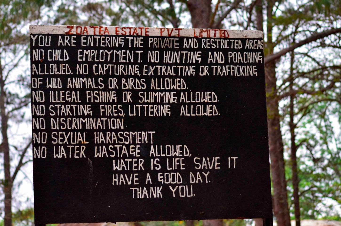 ZOA Tea Estate Limited, Malawi - Polarsteps