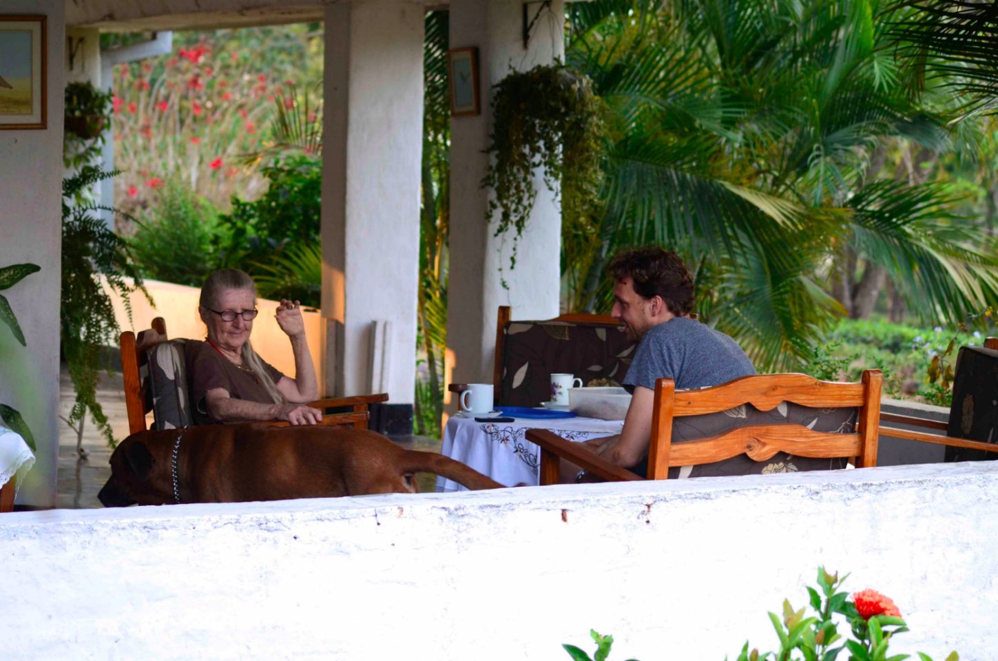 ZOA Tea Estate Limited, Malawi - Polarsteps