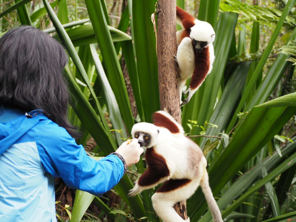 Moramanga, Madagascar - Polarsteps