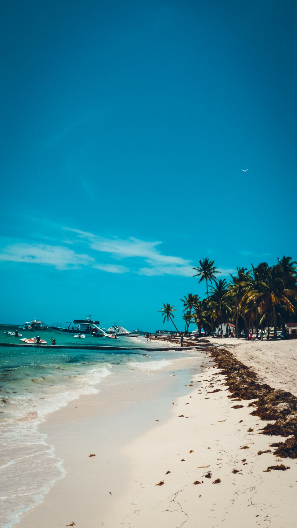 Friusa, Dominican Republic - Polarsteps