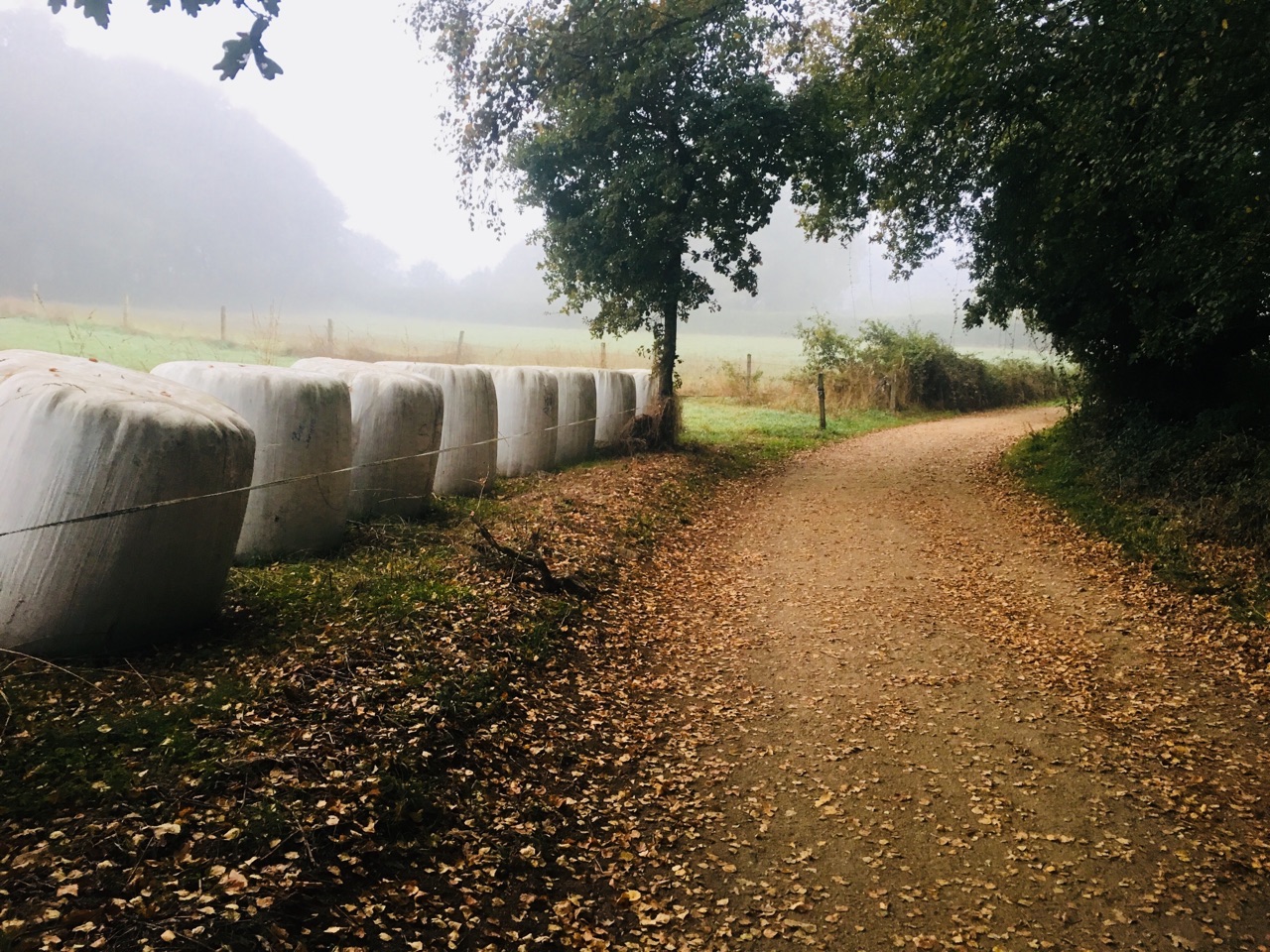 Ventas de Narón, Spain - Polarsteps