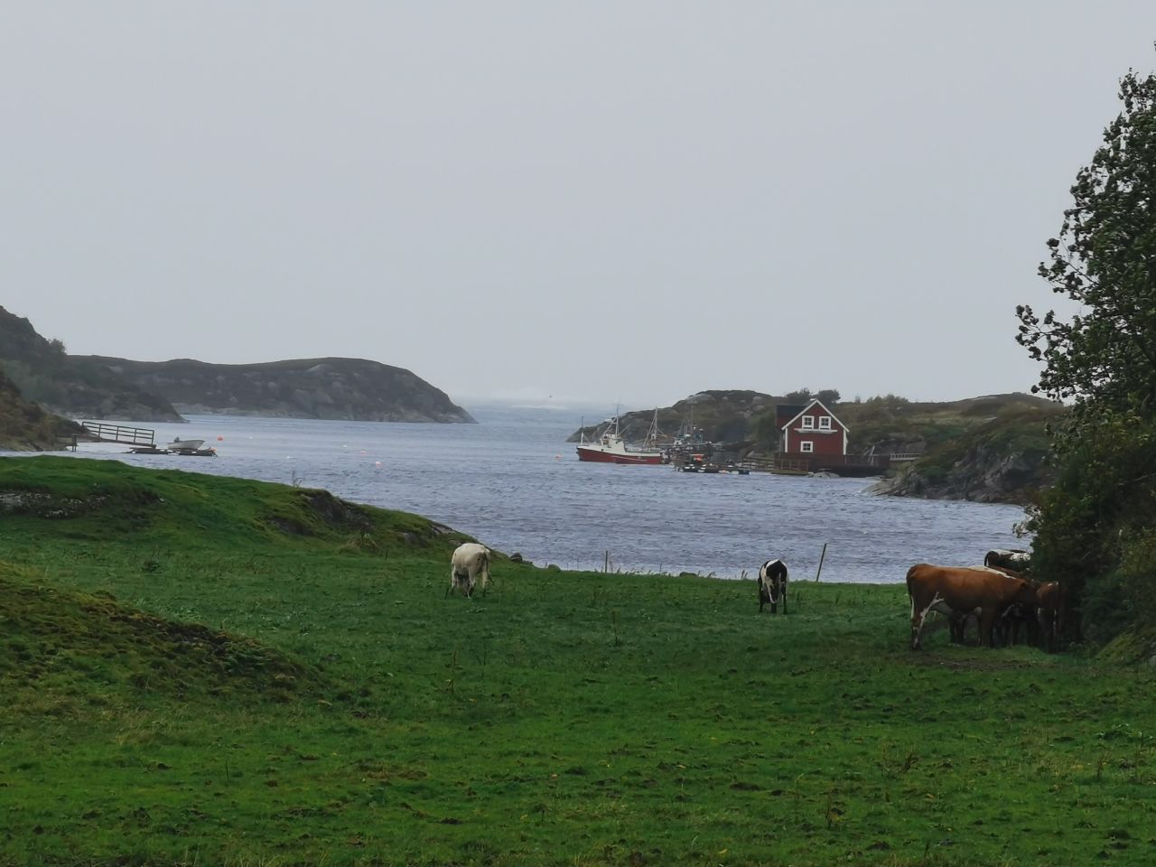 Eide, Norway - Polarsteps