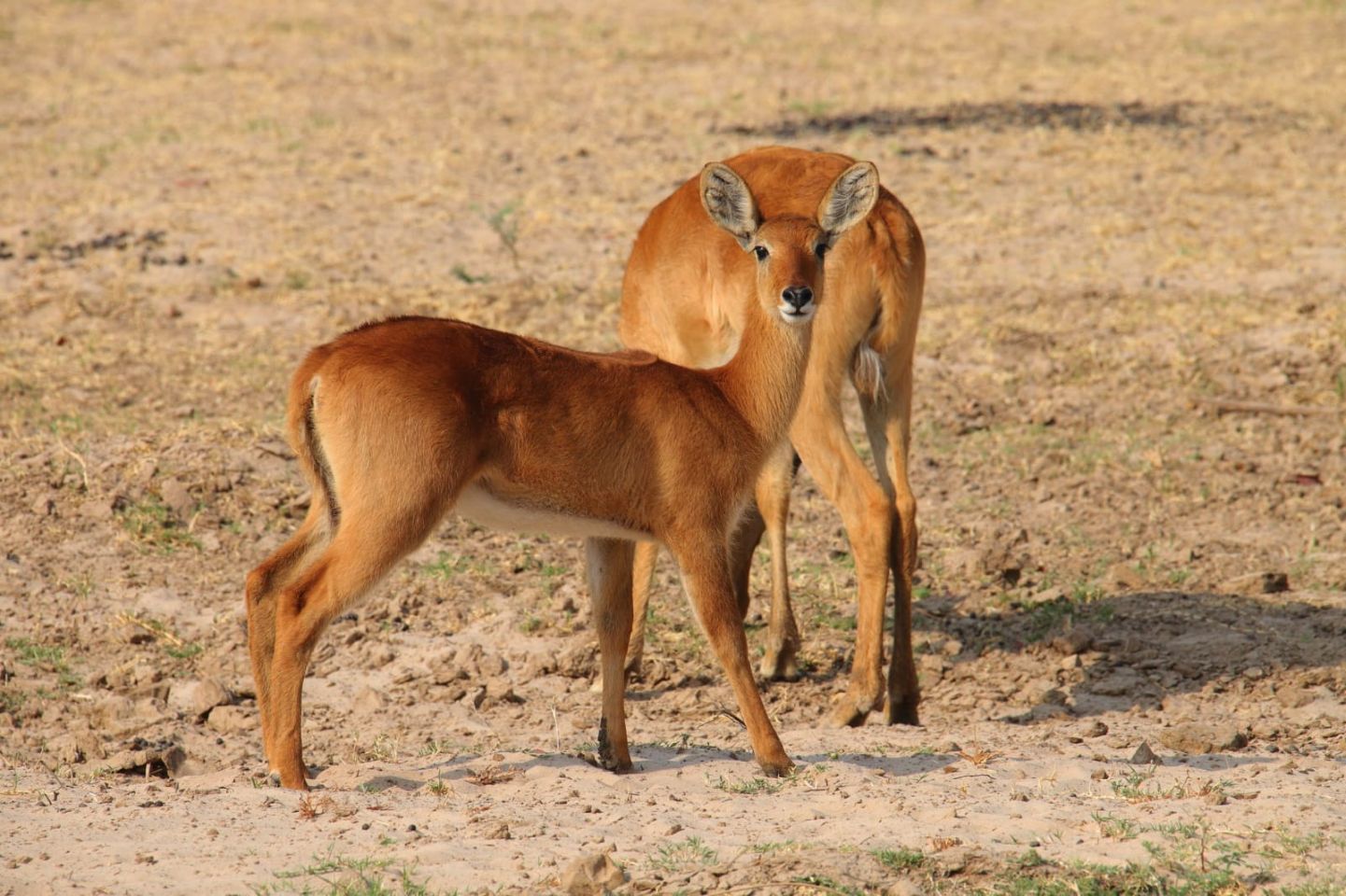 Mambwe, Zambia - Polarsteps