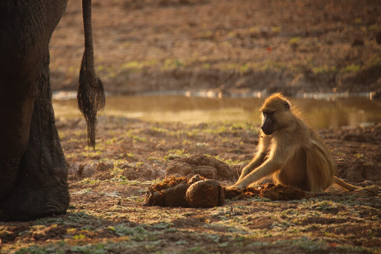 Mambwe, Zambia - Polarsteps