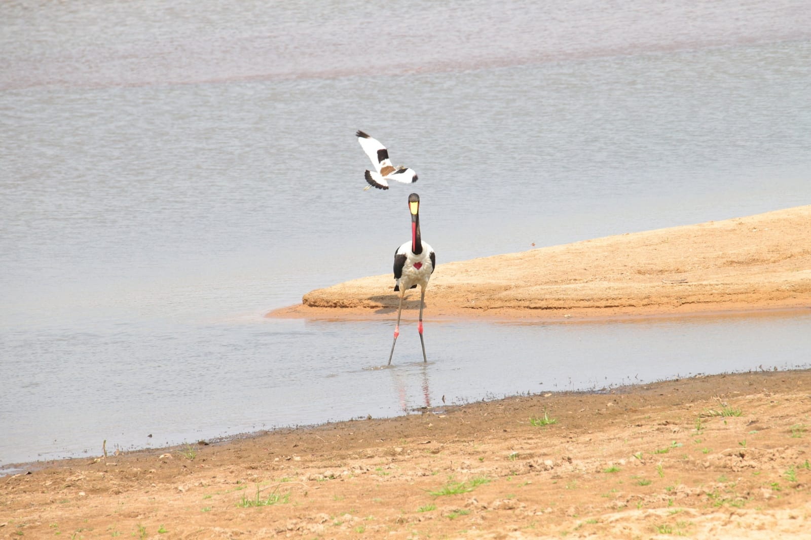 Mambwe, Zambia - Polarsteps