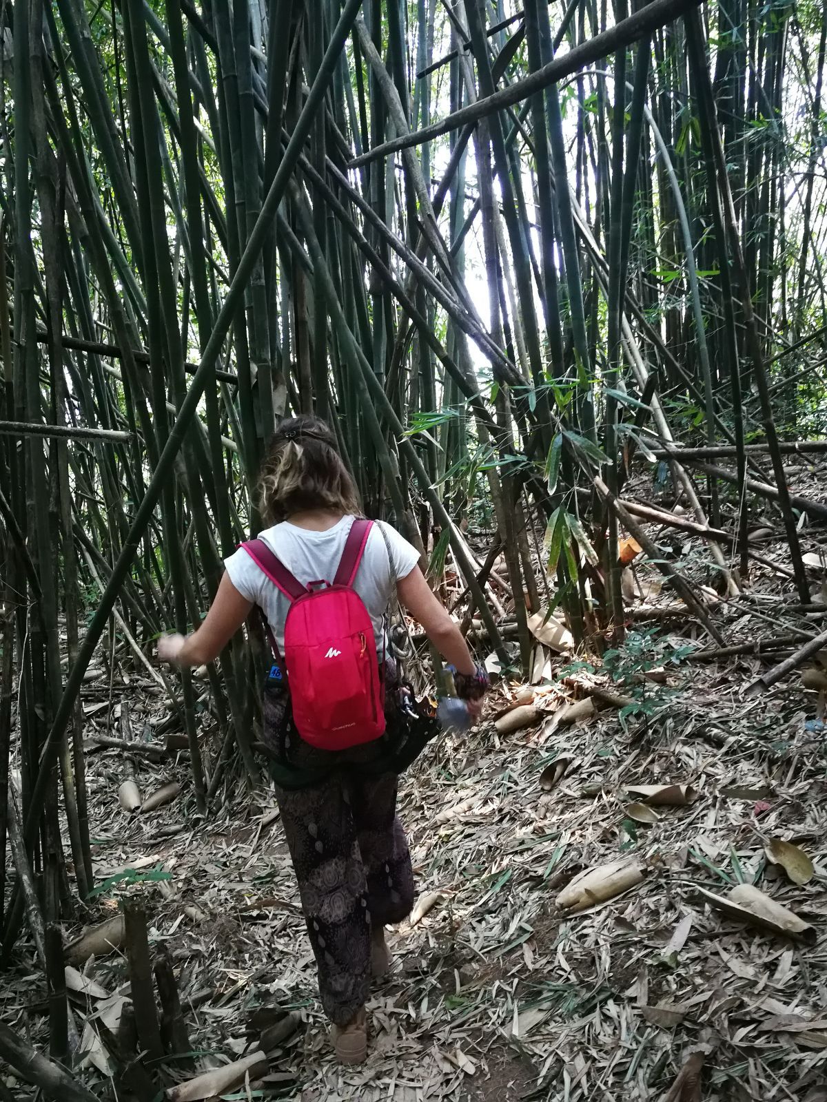 Bokeo Province, Laos - Polarsteps