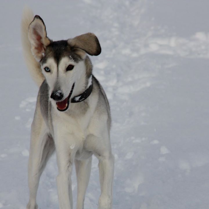 Susanne Hartlieb's Traveler Profile on Polarsteps