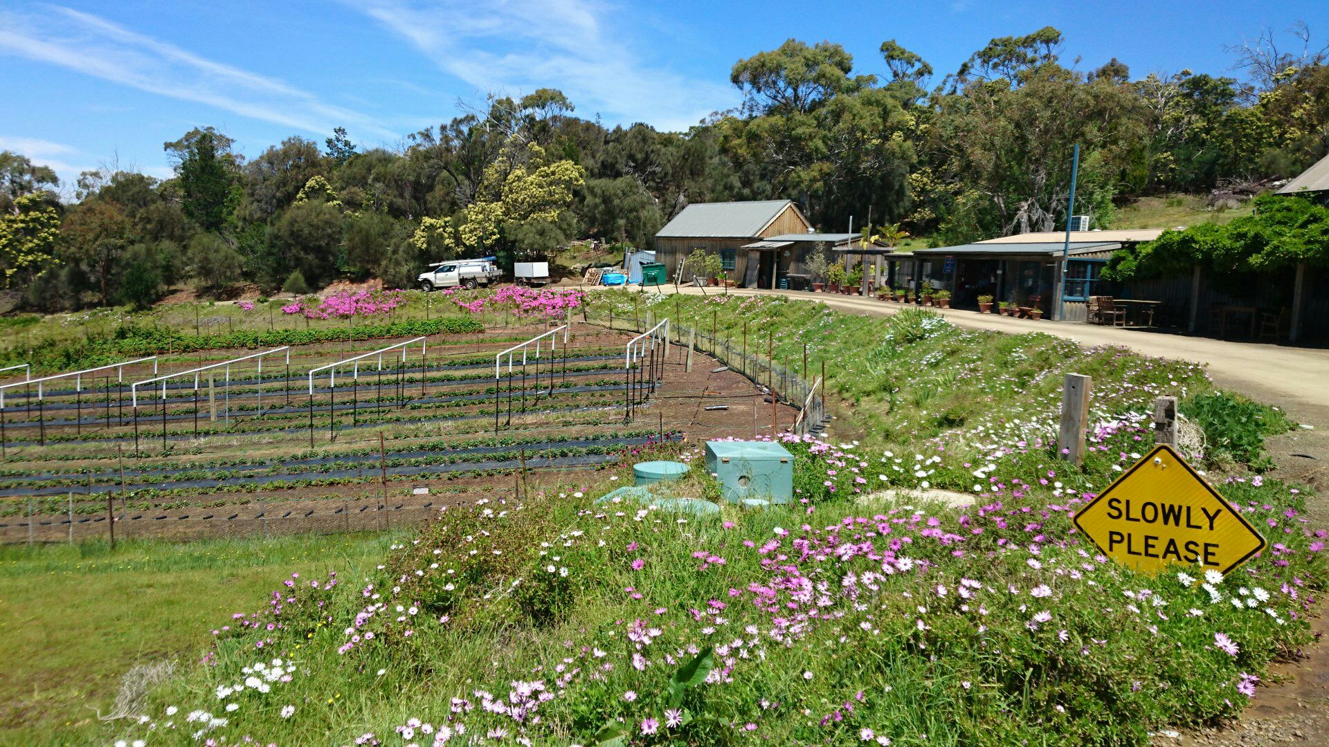 Kate's Berry Farm, Australia - Polarsteps