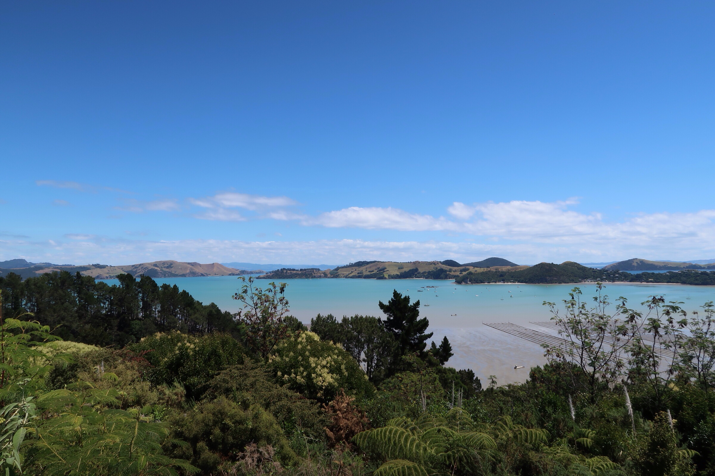Tapu, New Zealand - Polarsteps