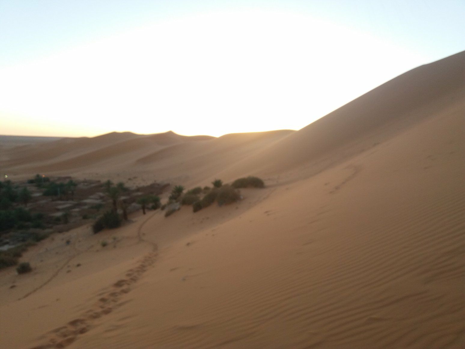 Béchar Province, Algeria - Polarsteps