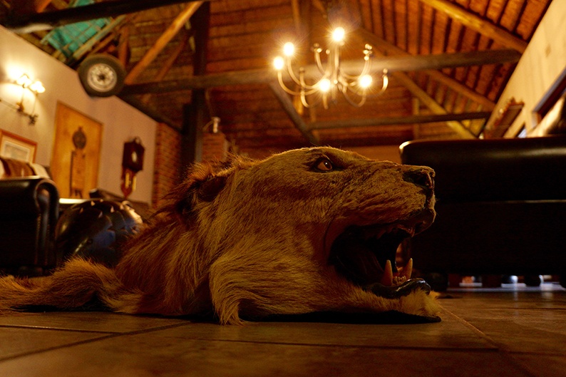 Bokspits, Botswana - Polarsteps