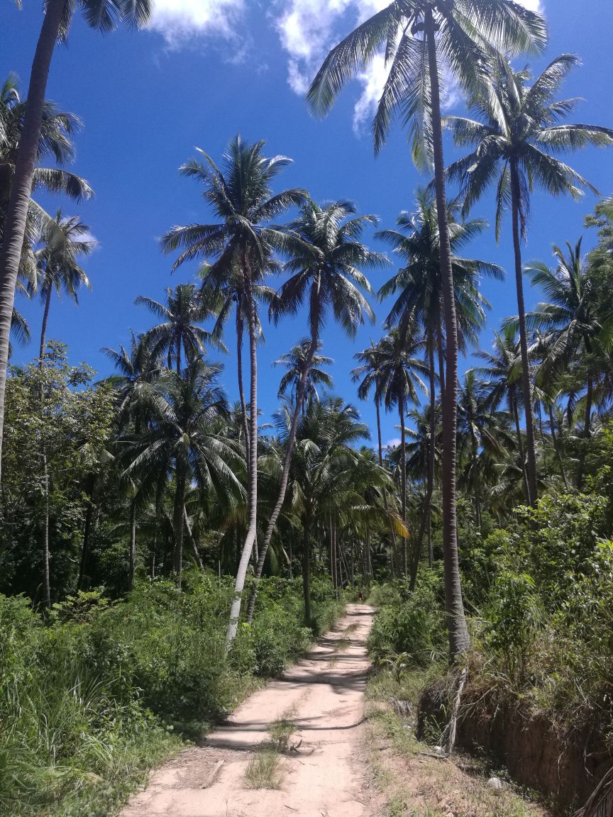 Moo 4, Thailand - Polarsteps