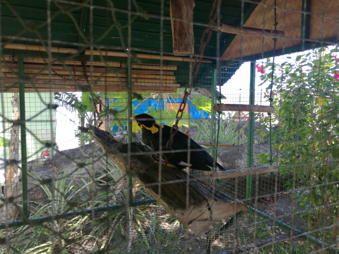 Moo 4, Thailand - Polarsteps