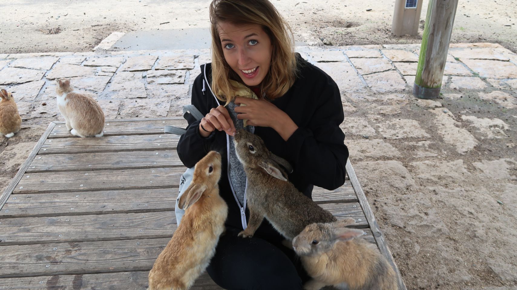 Takehara, Japan - Polarsteps