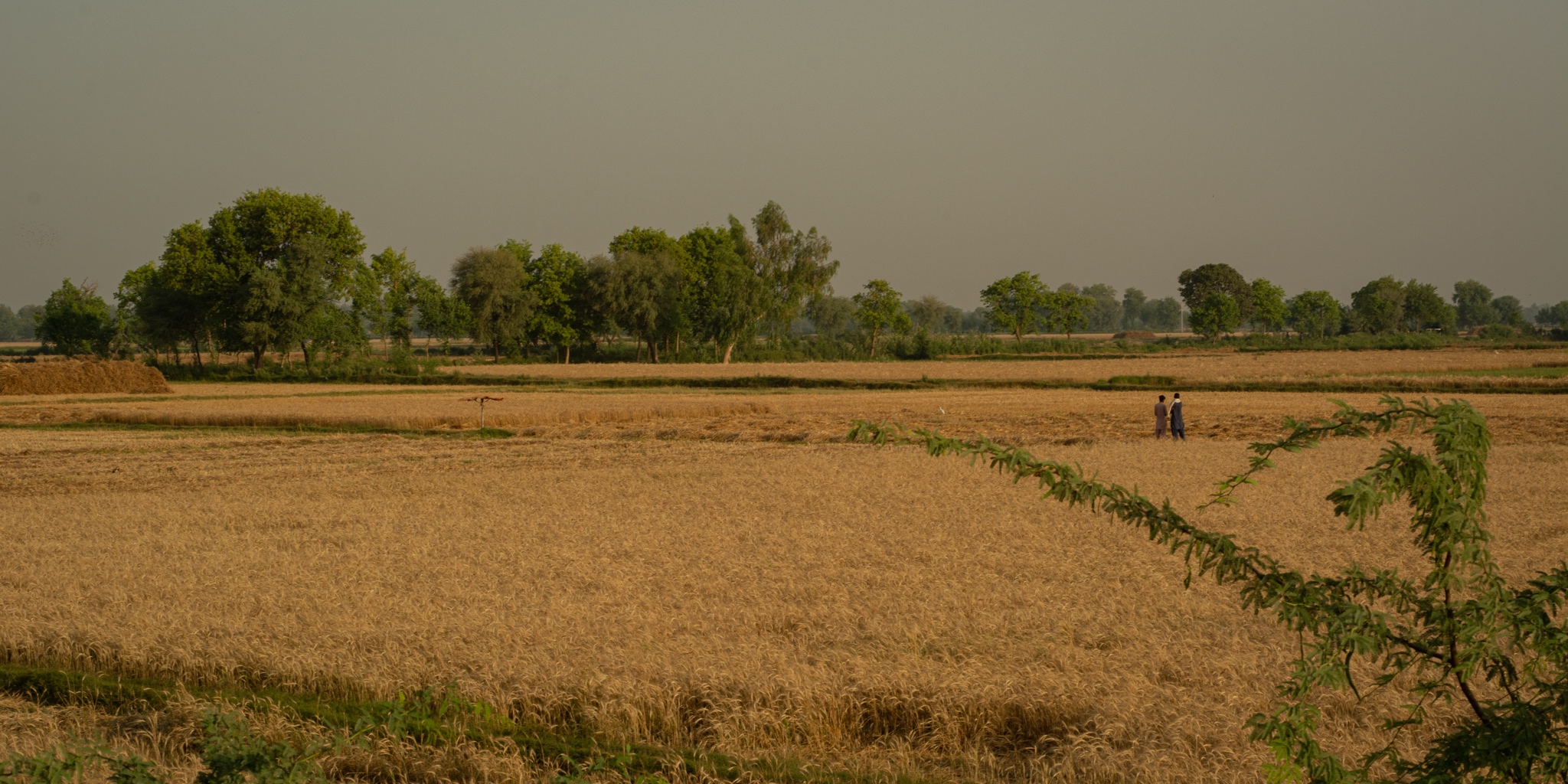 Haji Mashori, Pakistan - Polarsteps