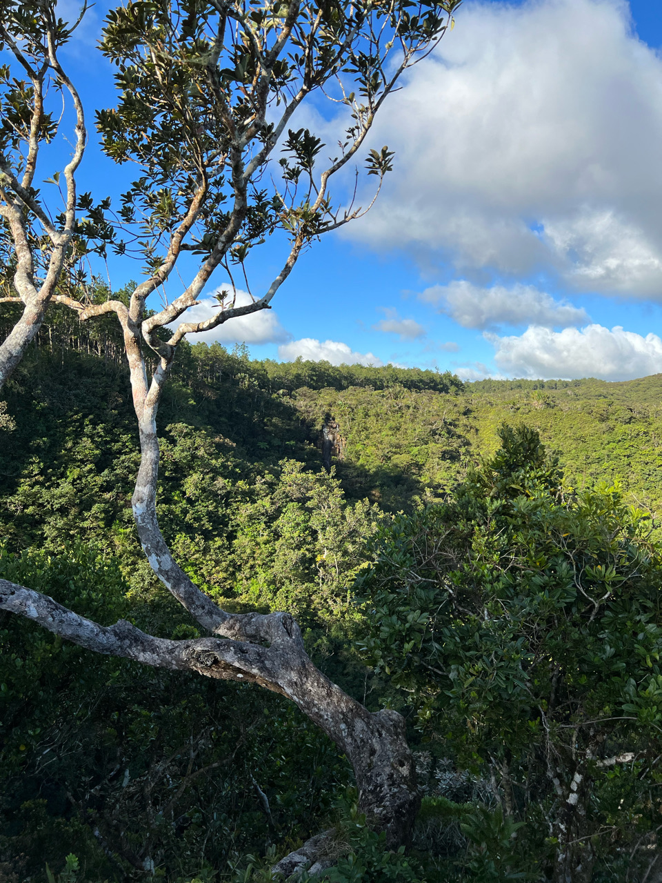 Alexandra Falls, Mauritius - Polarsteps