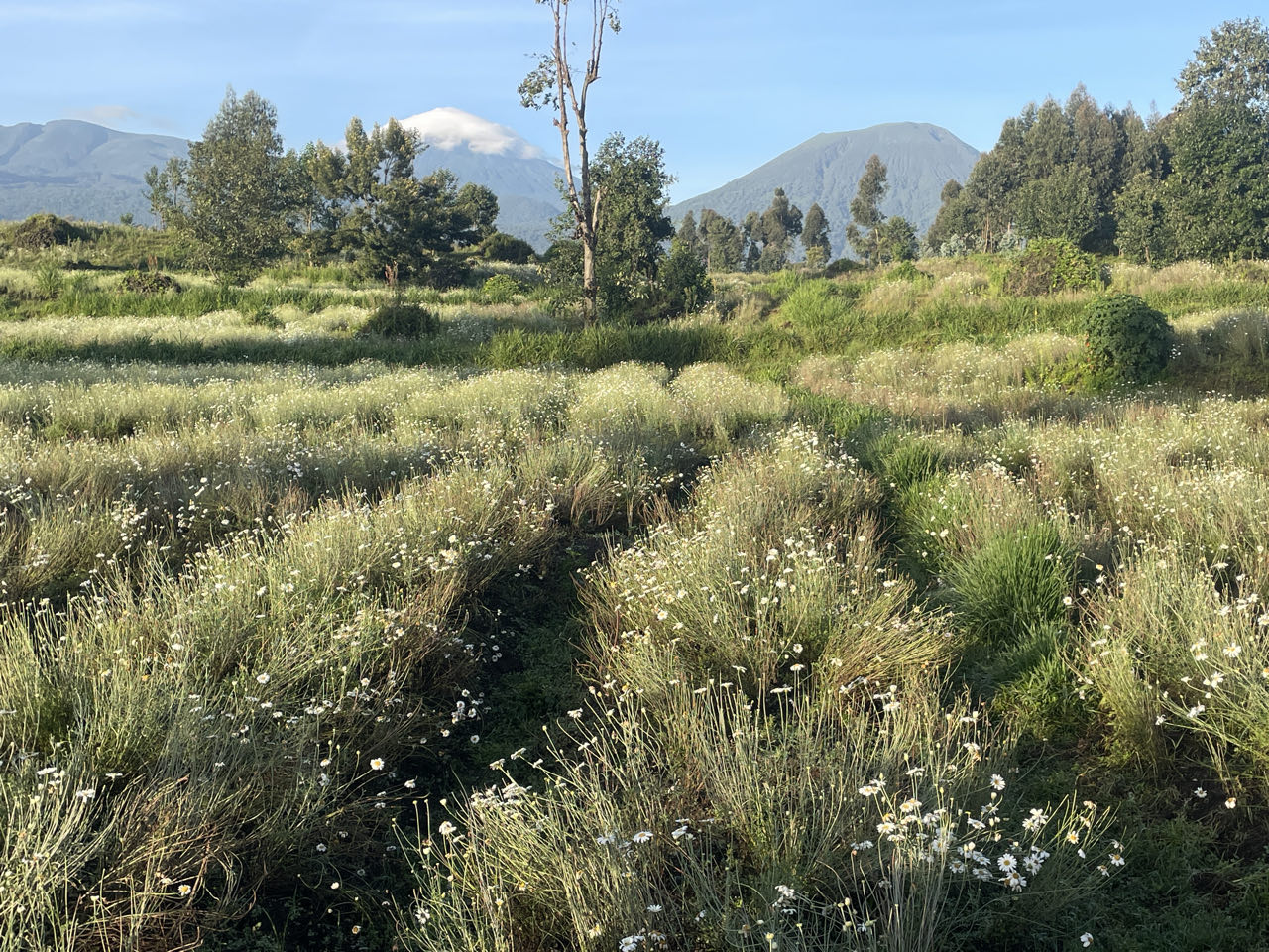 Kicukiro District, Rwanda - Polarsteps