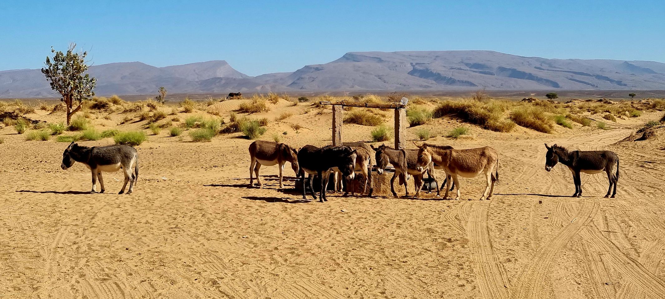 Tata, Morocco - Polarsteps