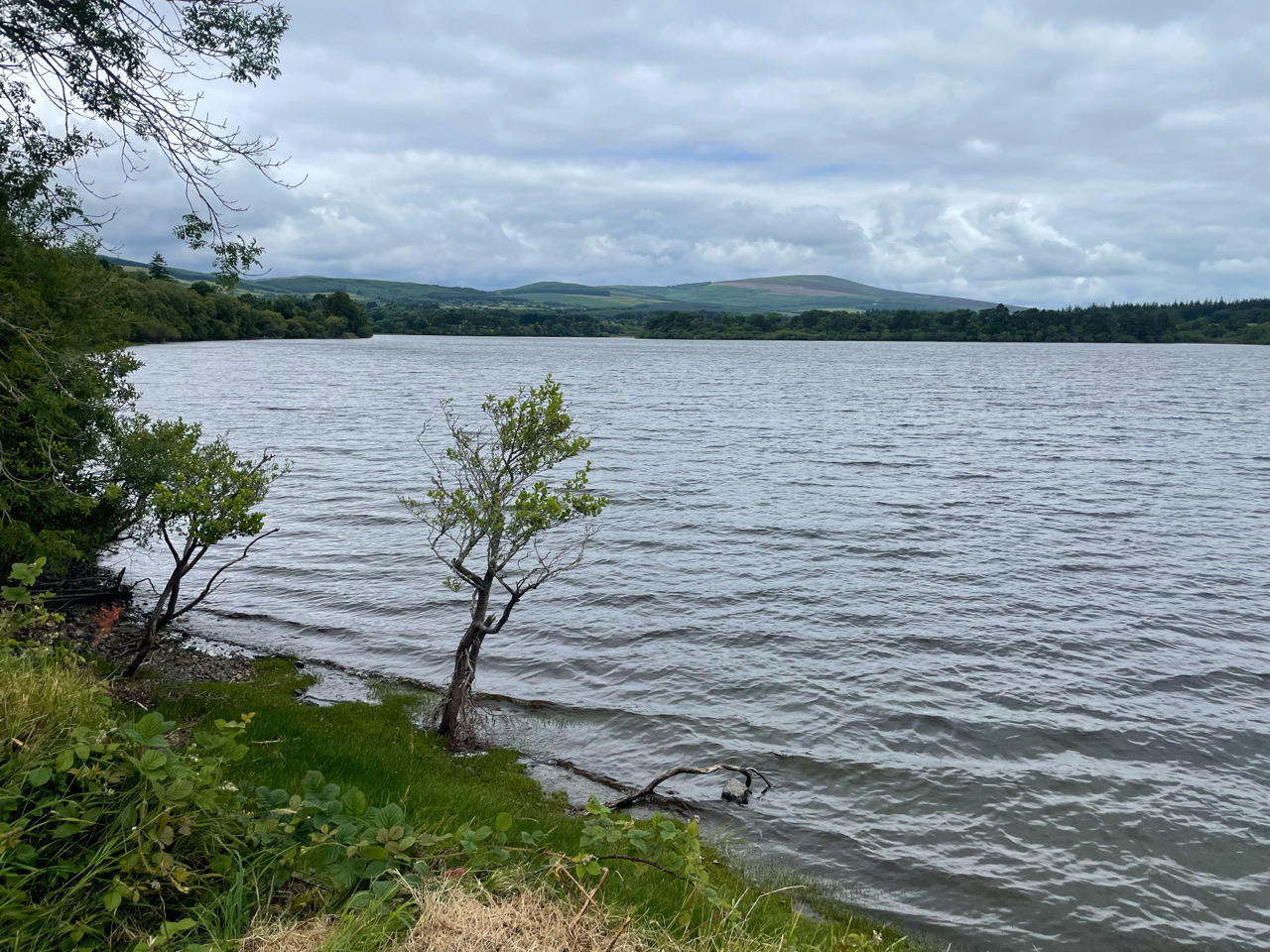Togher ED, Ireland - Polarsteps