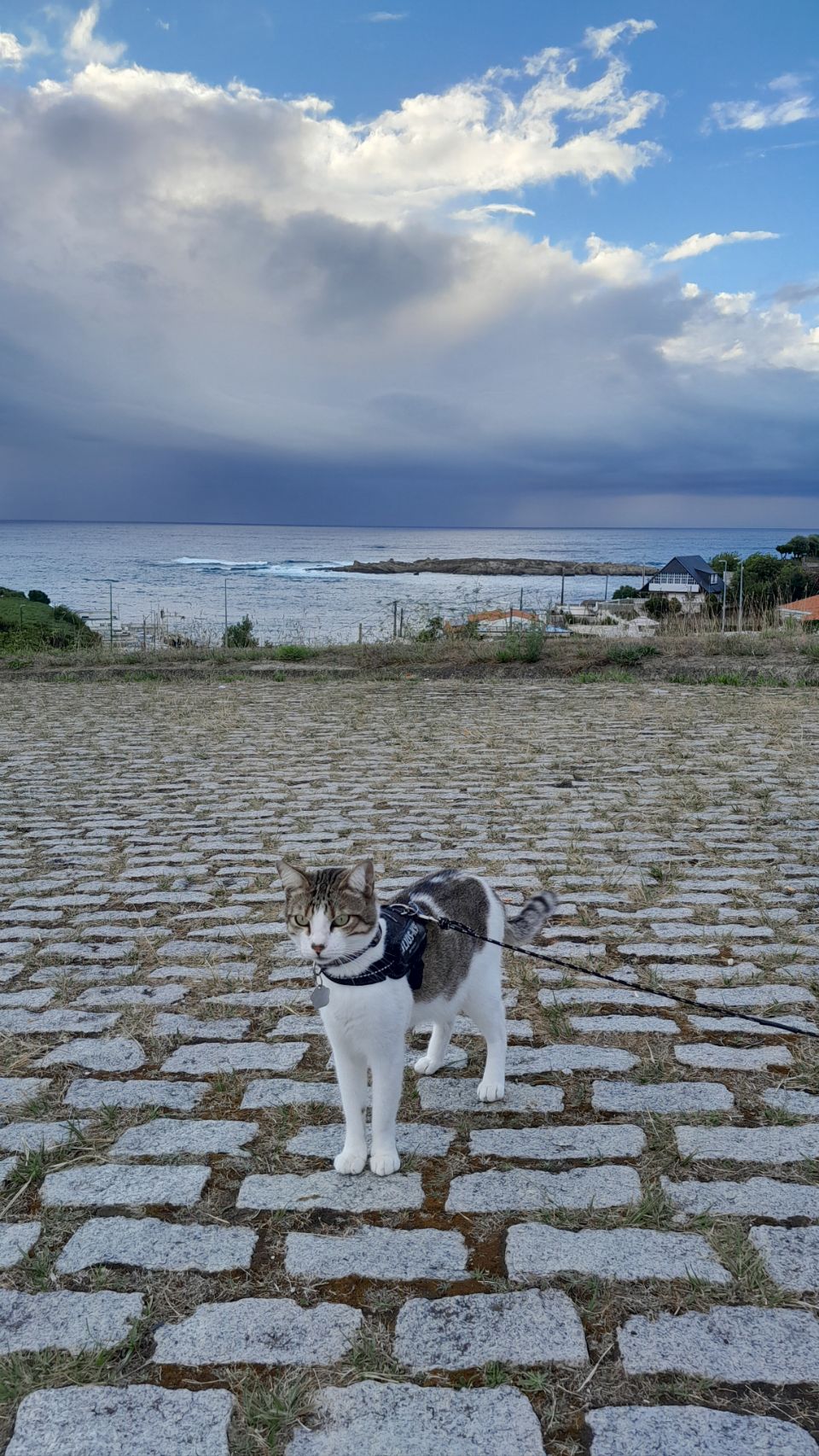 A Coruña, Spain - Polarsteps