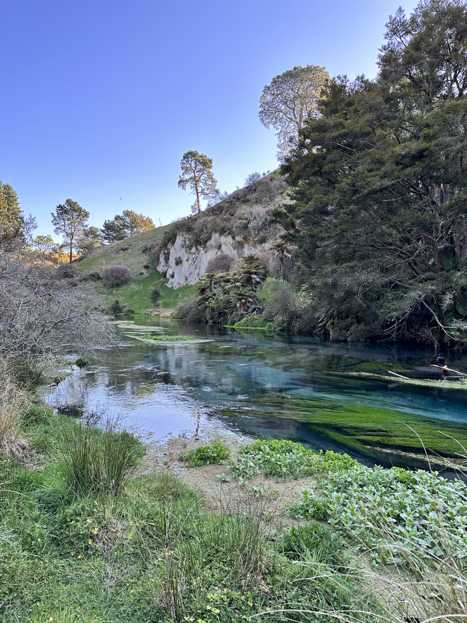 Tapapa, New Zealand - Polarsteps