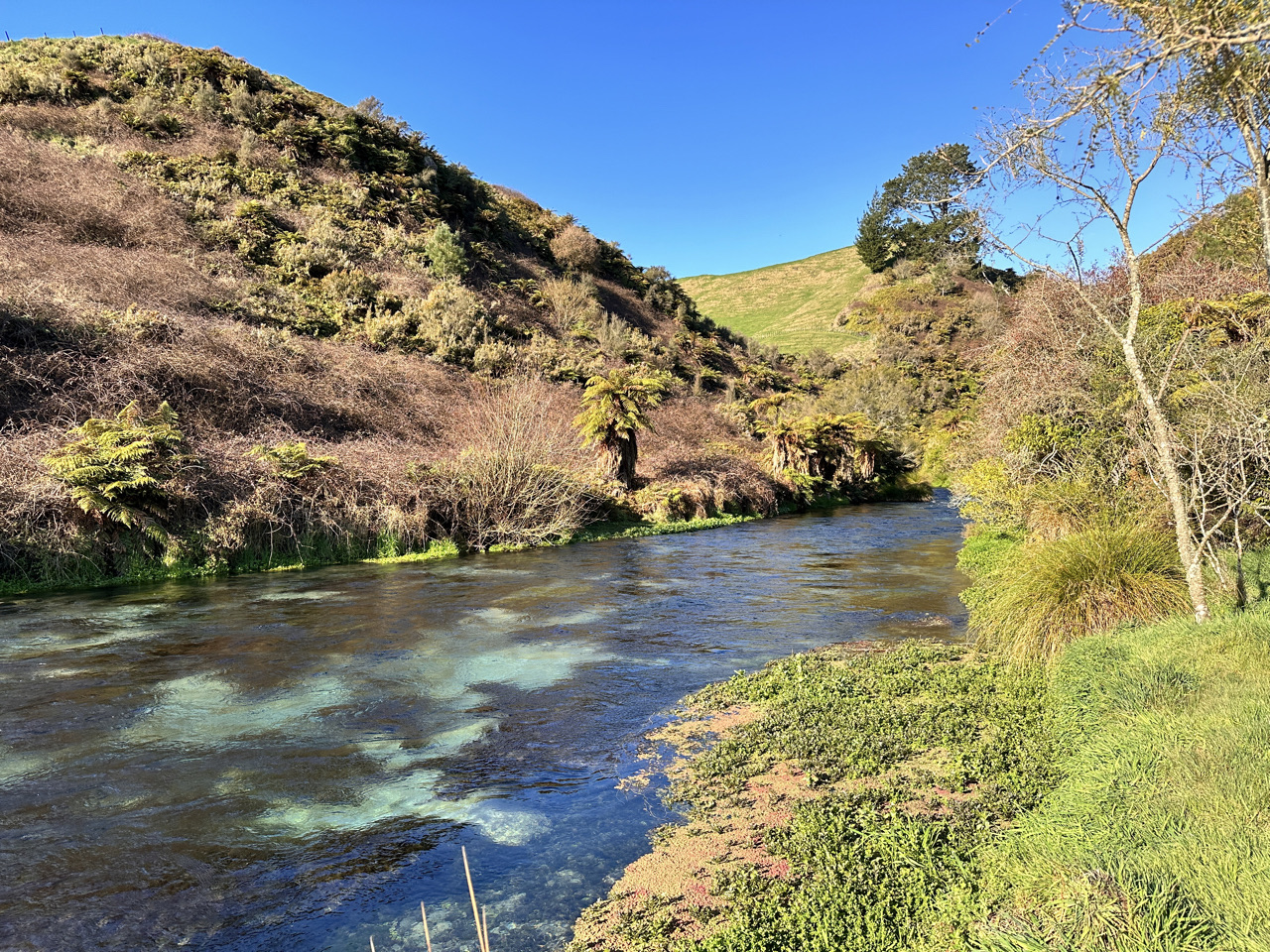 Tapapa, New Zealand - Polarsteps