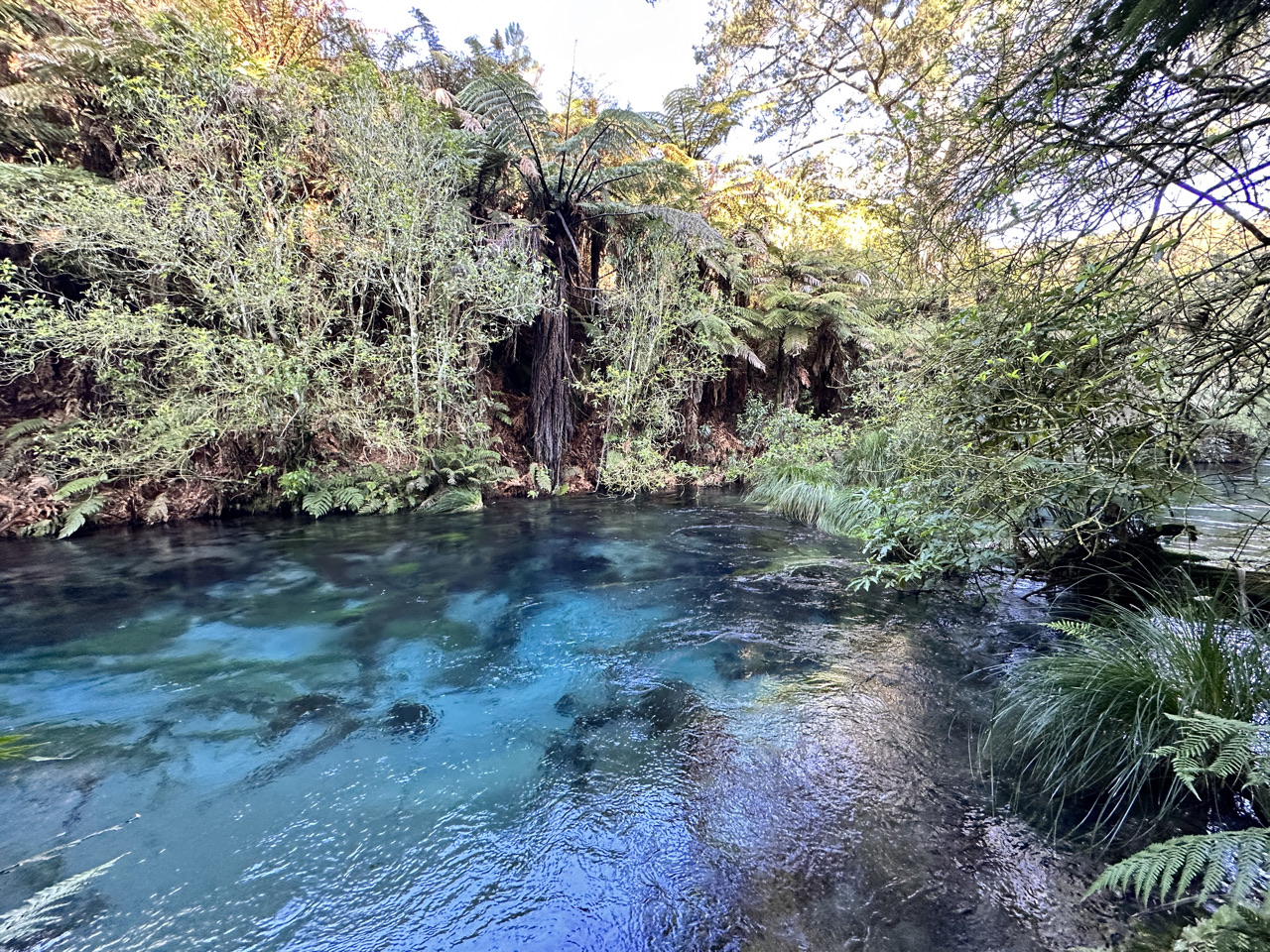 Tapapa, New Zealand - Polarsteps