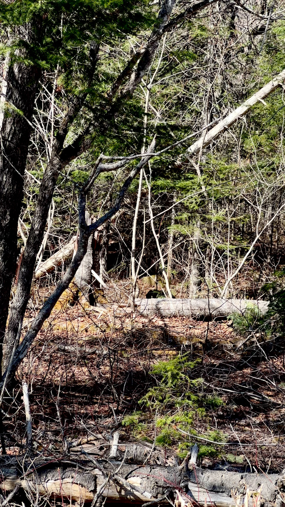 Plaster Rock, Canada - Polarsteps