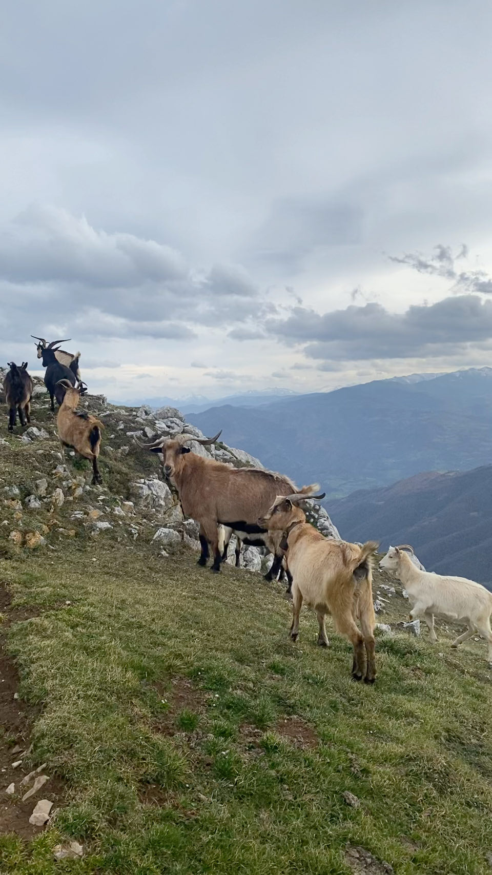 Lena, Spain - Polarsteps