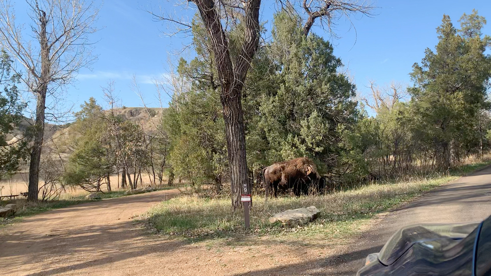 Medora, USA - Polarsteps