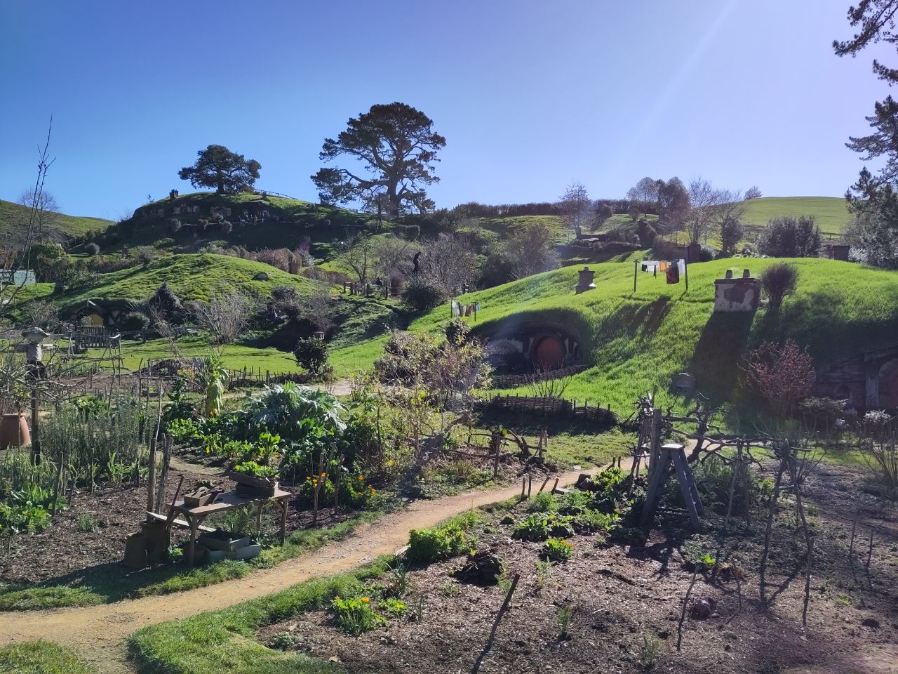 Matamata Piako District, New Zealand - Polarsteps