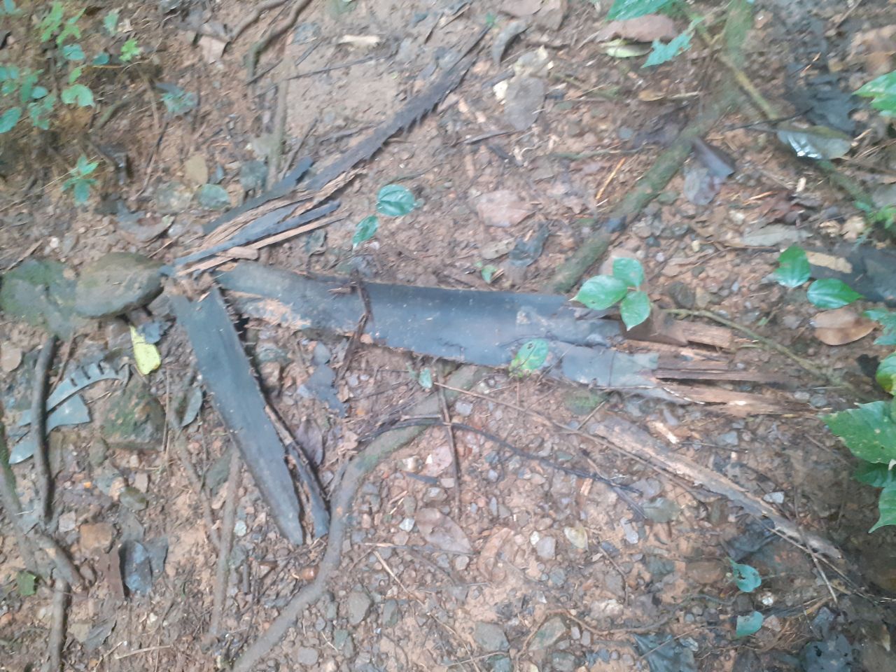 Bunso Canopy walk, Ghana - Polarsteps