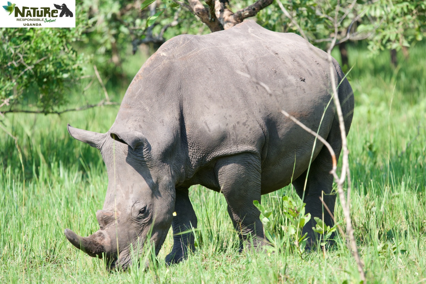 Ziwa Rhino Sanctuary, Uganda - Polarsteps
